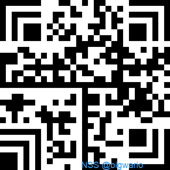 [GHCTF 2025]mypixel bigwario的WriteUp - NSSCTF